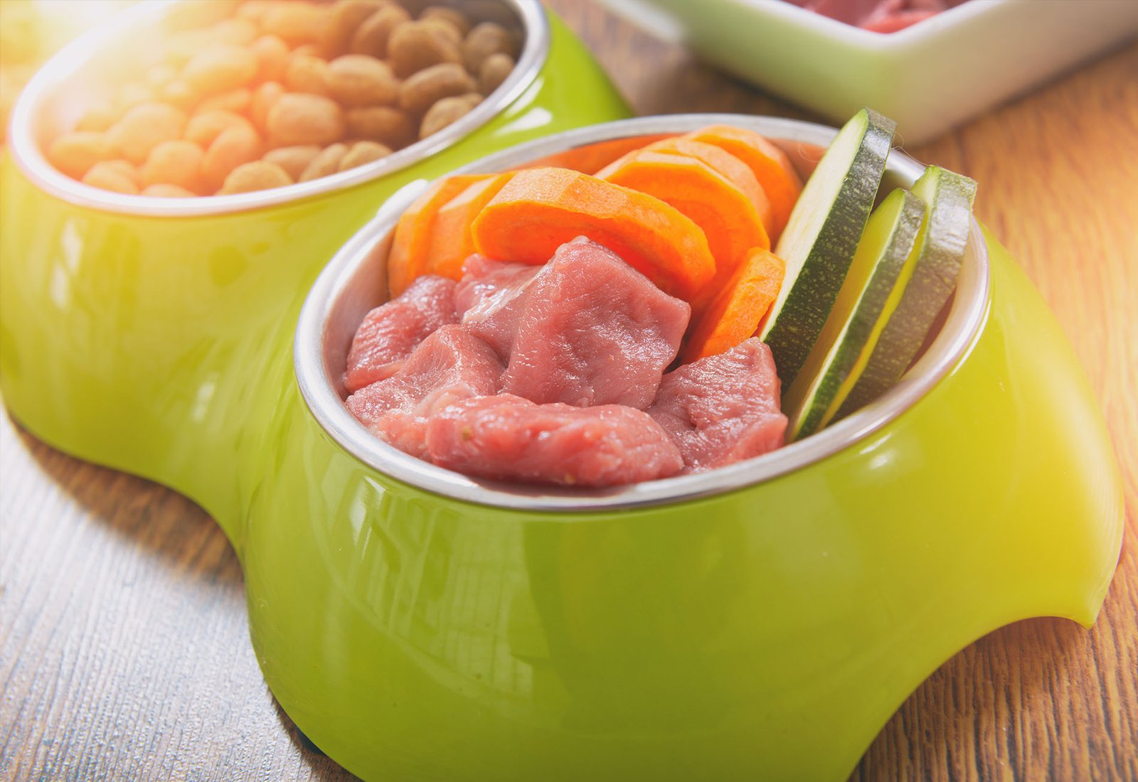 Qué Alimentos Son Recomendados Para Mascotas En Veterinaria Y Peluquería