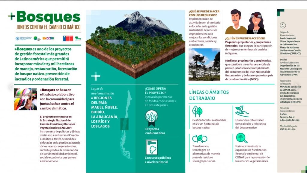 Qué Es La Corporación Nacional Forestal (CONAF) Y Cuáles Son Sus Funciones